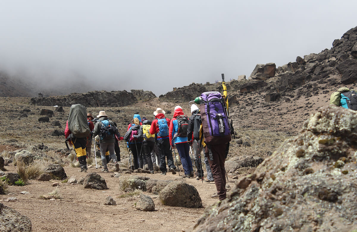 5 Days Marangu Route - Kilimanjaro Booking