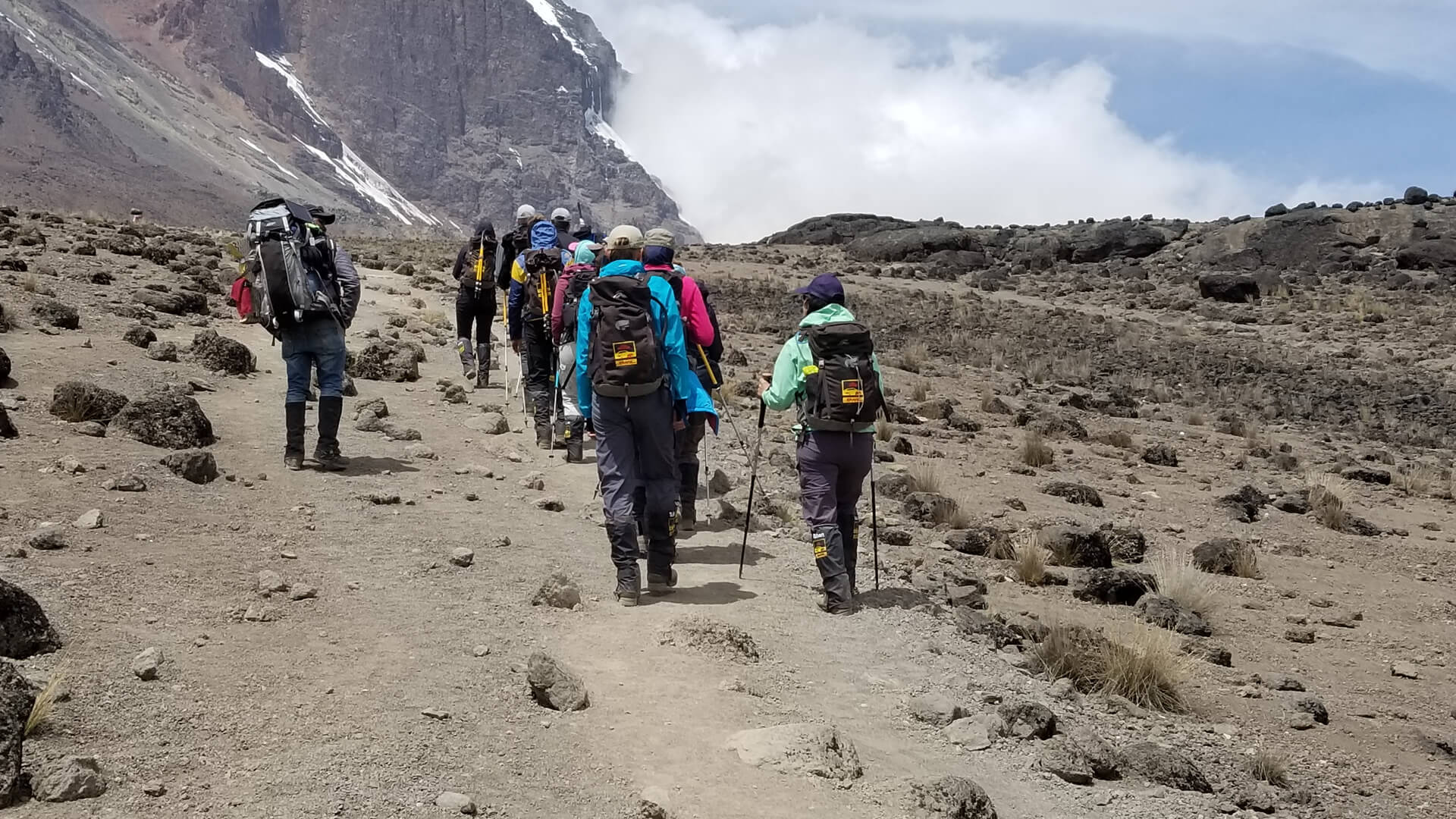 7 Days Rongai Route - Kilimanjaro Booking