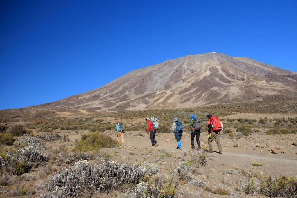 7 Days Rongai Route - Kilimanjaro Booking
